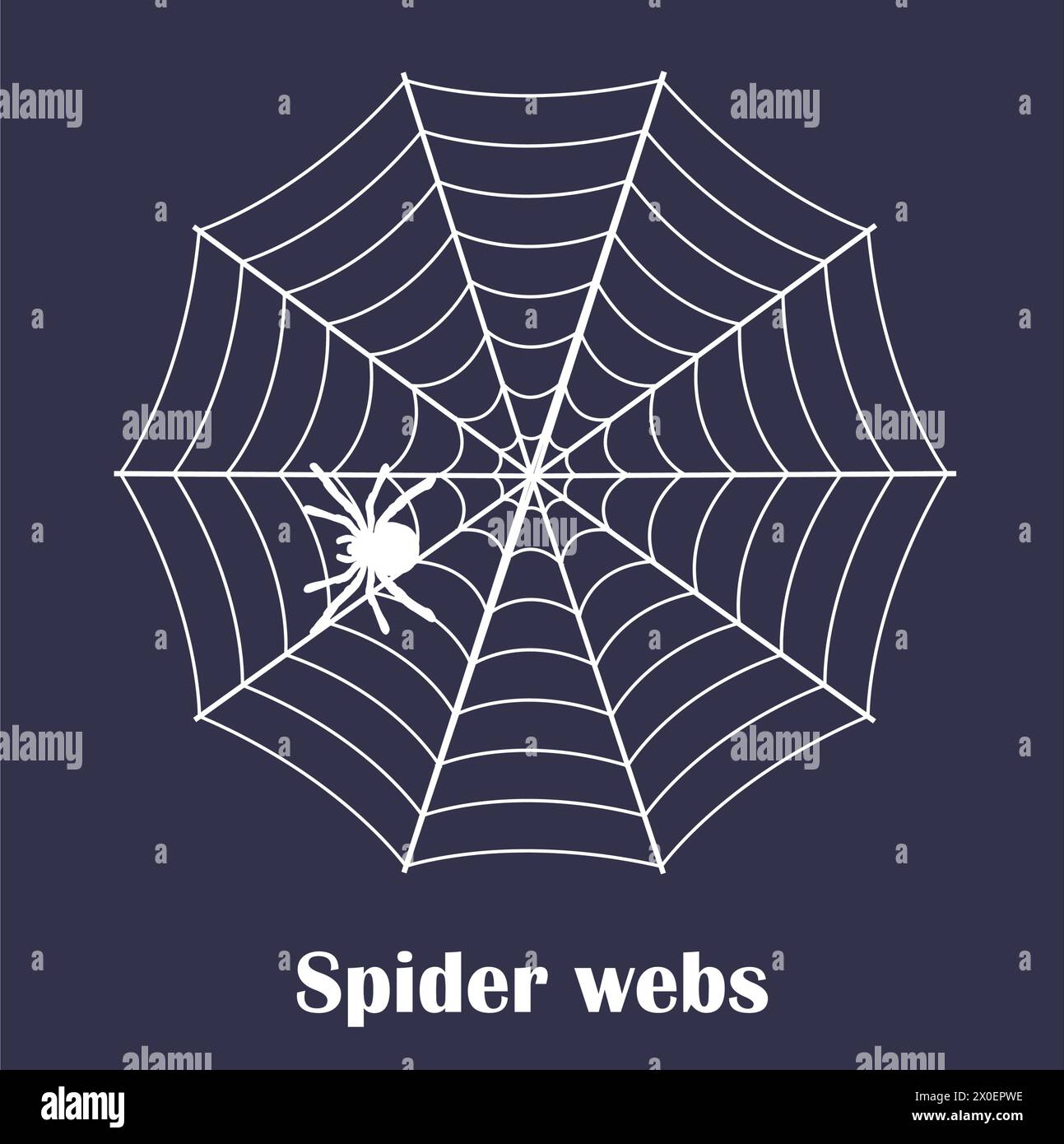 Cobweb drawing hi-res stock photography and images - Alamy