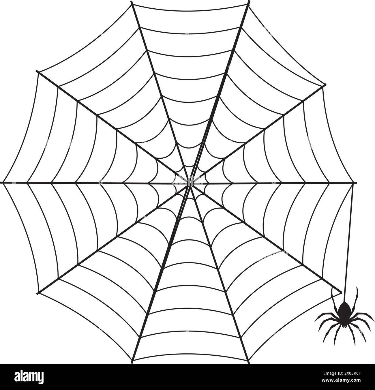 Cobweb drawing hi-res stock photography and images - Alamy