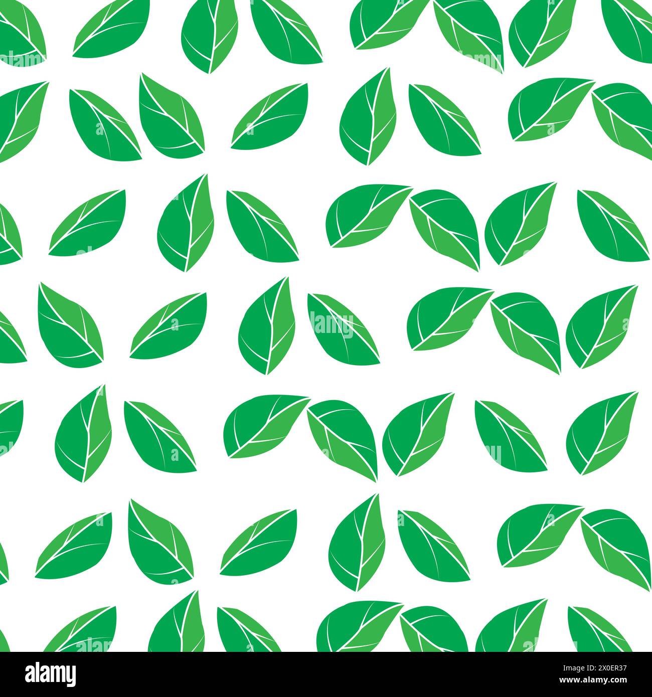 Small new leaves Stock Vector Images - Alamy