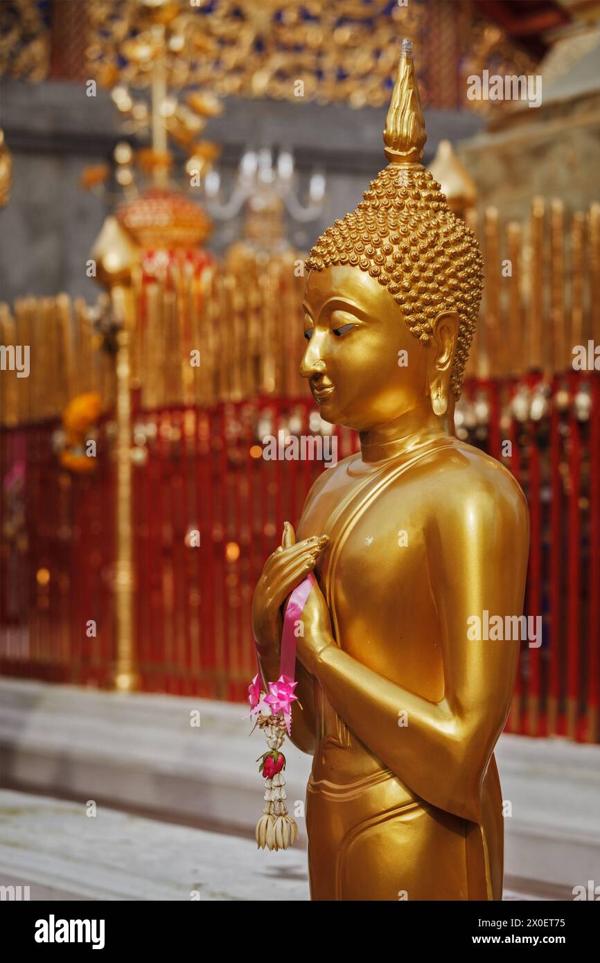 Standing Buddha statue Stock Photo - Alamy