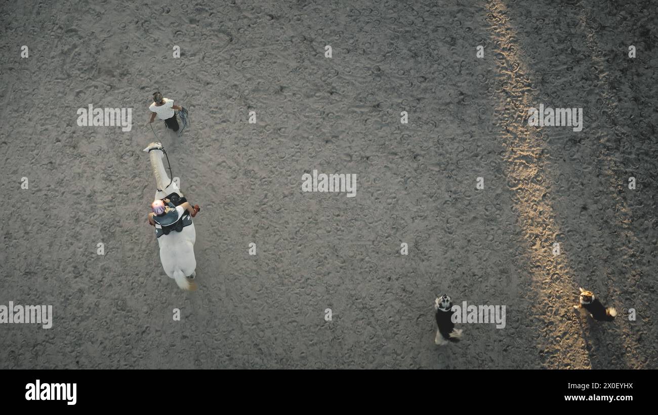 Closeup horseback training aerial top down. Girl sitting on horse ...