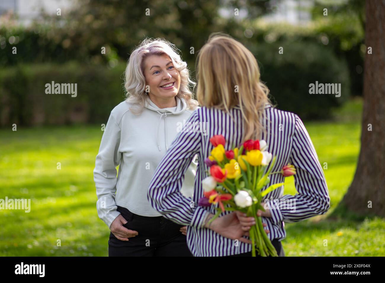 Daughter hiding tulips behind back Stock Photo - Alamy