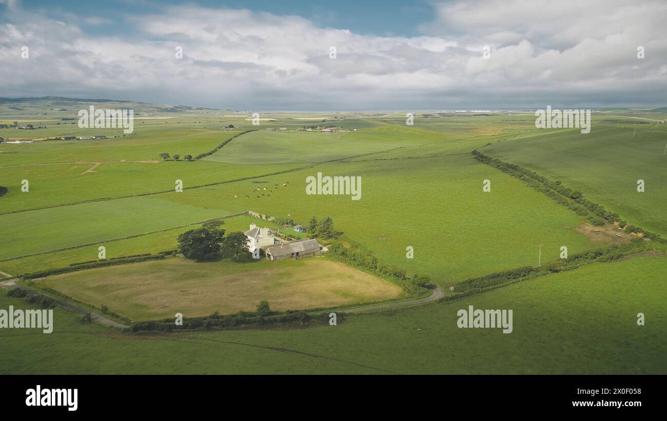 Green farmland at fields, pastures aerial. Cottages with barns at ...
