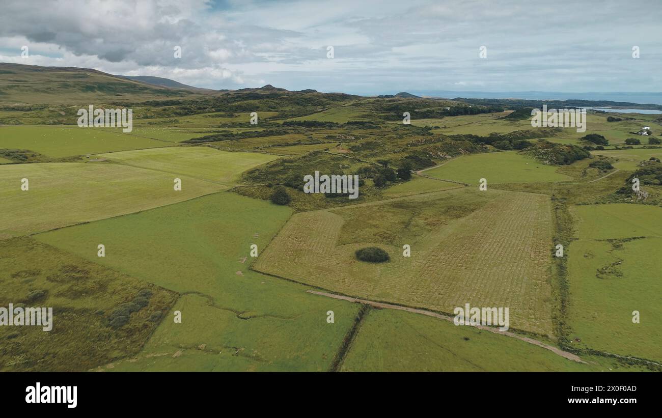 Green pastures, fields at pine forest aerial. Nobody nature landsape at ...