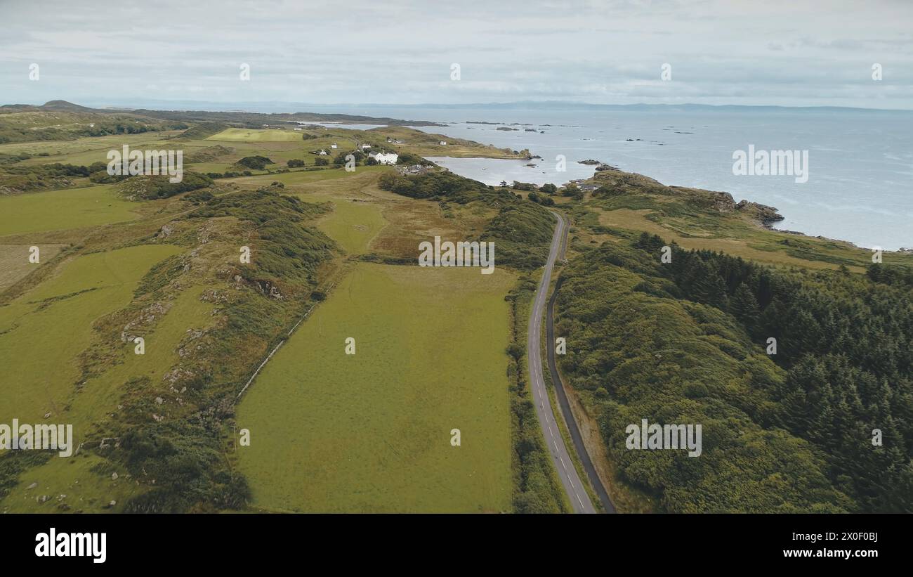 Countryside road at pine forest aerial. Nobody nature landscape at sea ...