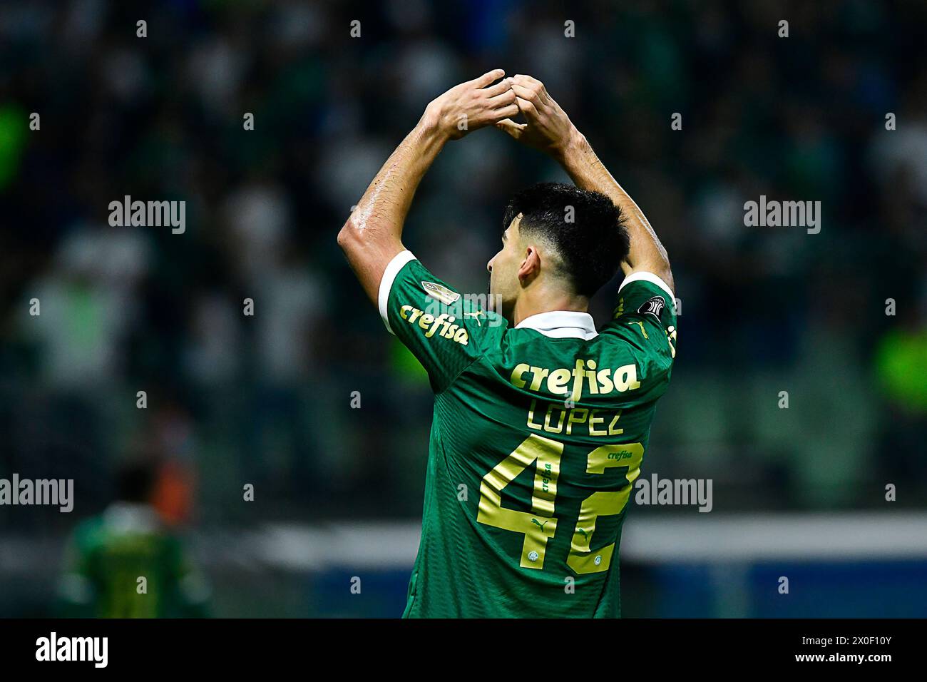 Flaco lopez palmeiras 2024 hi-res stock photography and images - Alamy