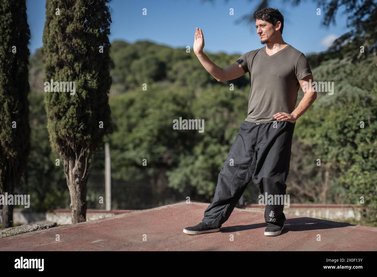 The third posture of the Bai Hu program, the static stance Santi Shi ...