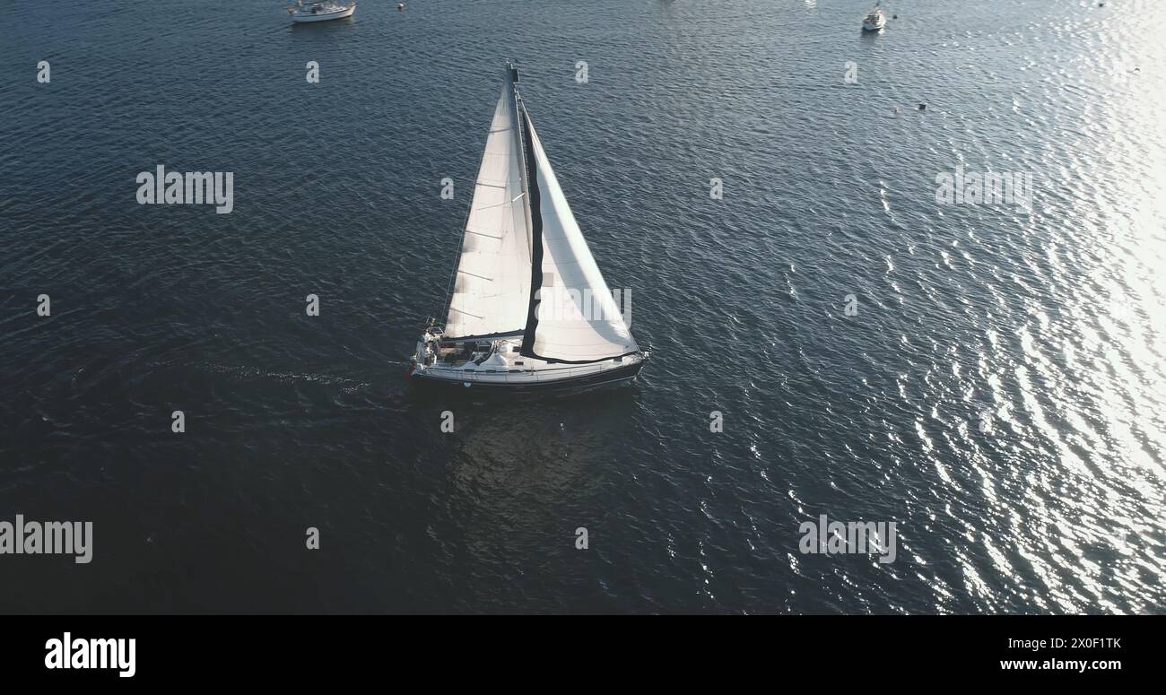 Yacht regatta race at ocean bay with seagull flying aerial. Sun reflect ...