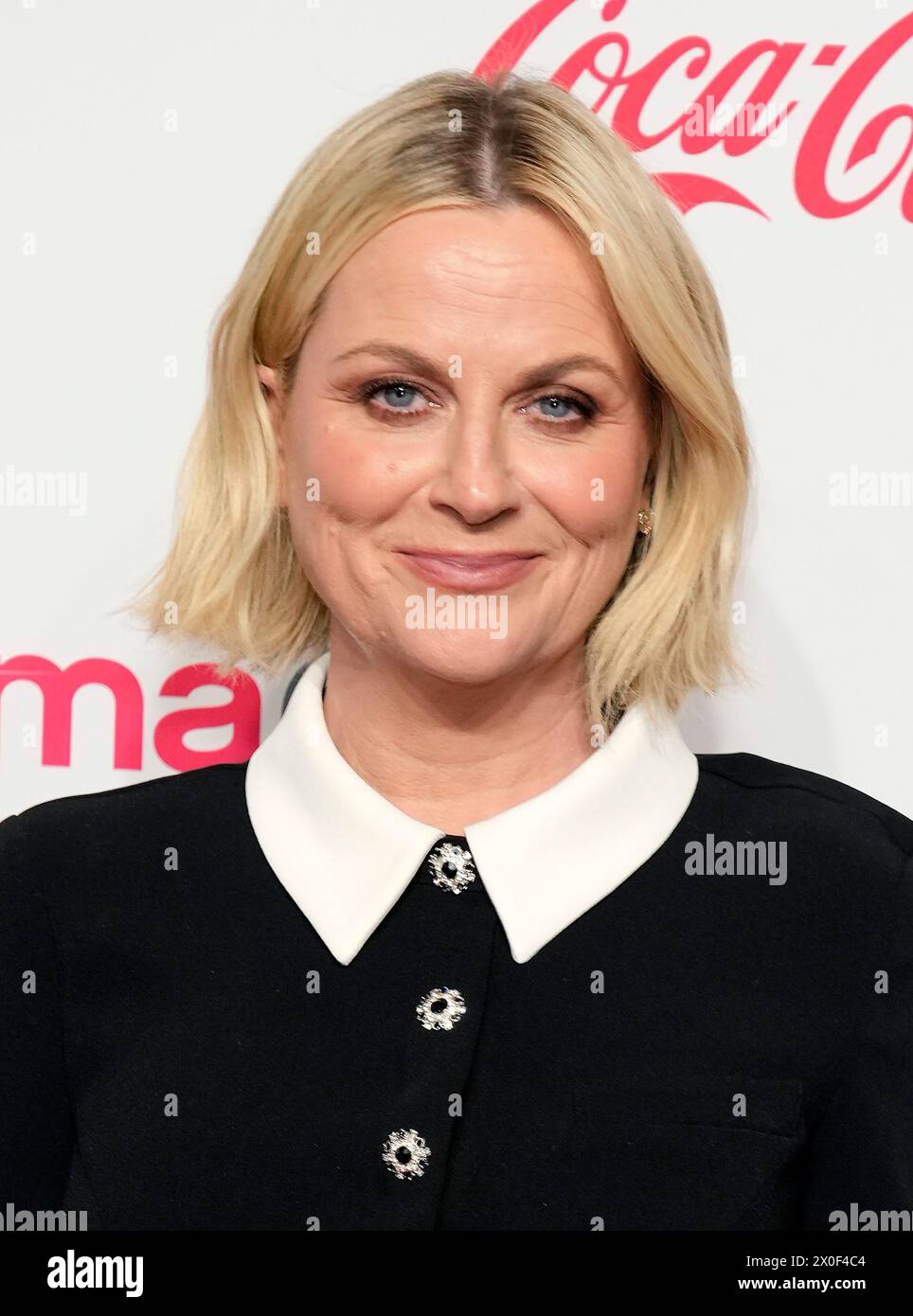 Amy Poehler, recipient of the CinemaCon Vanguard Award, poses at the ...