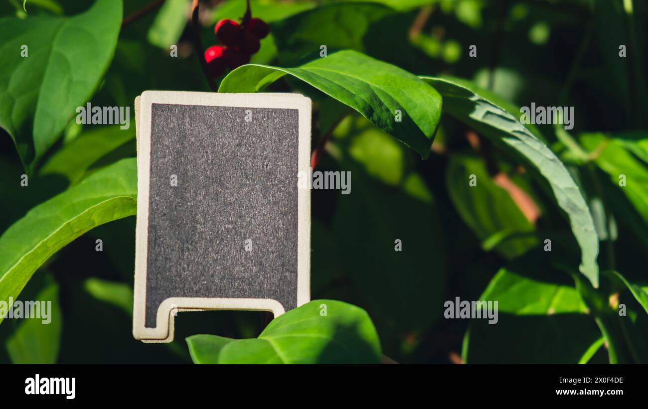 Blank Black billboard against green lemongrass leaves garden. Empty ...