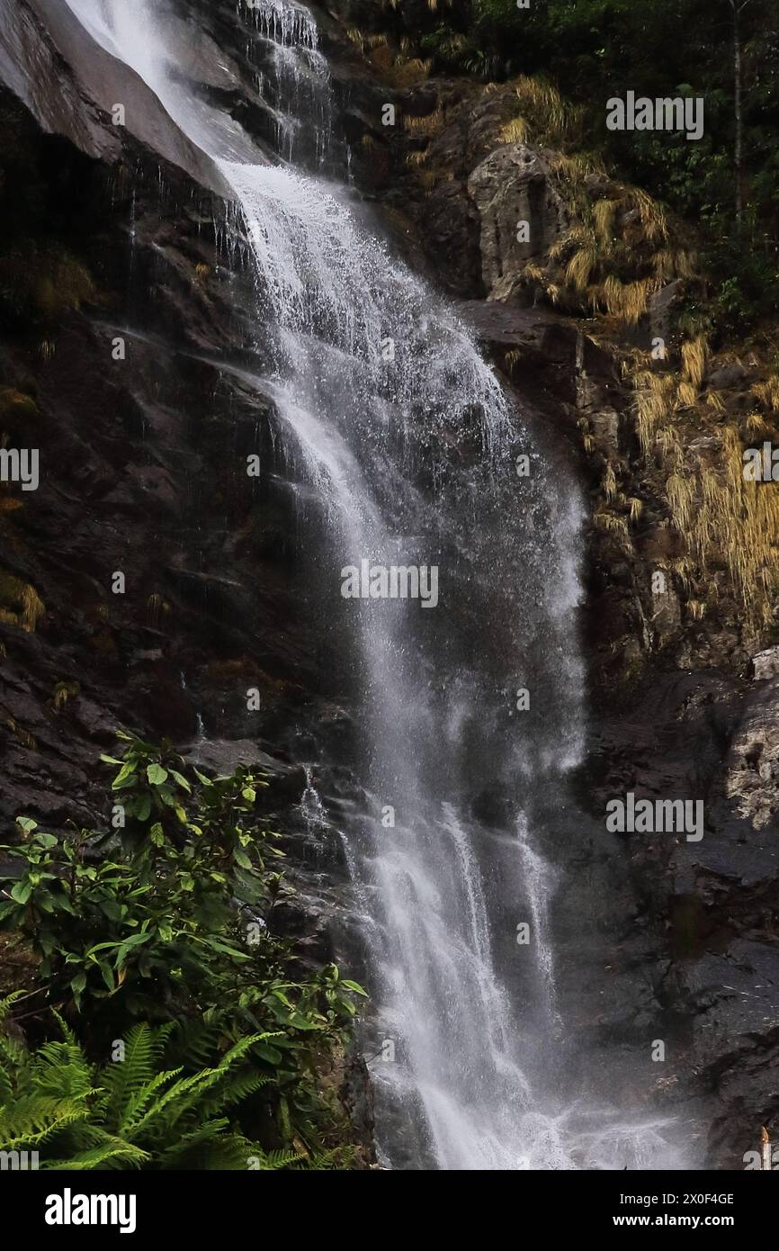 beautiful waterfalls of north sikkim,mountain stream flowing down to ...