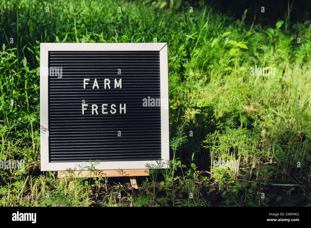 Letter board with text FARM FRESH on background of garden bed with ...