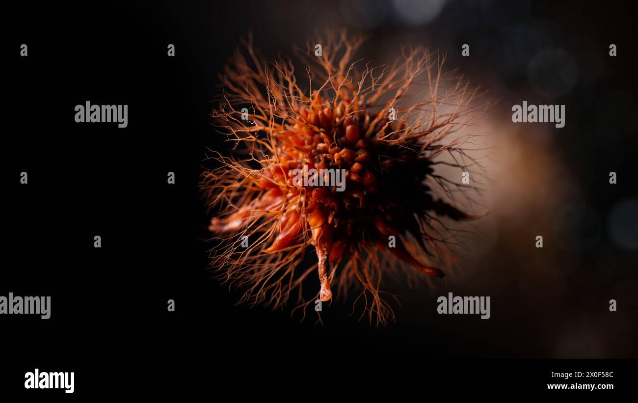 Cancer cell concept image background. 3d rendering Stock Photo - Alamy