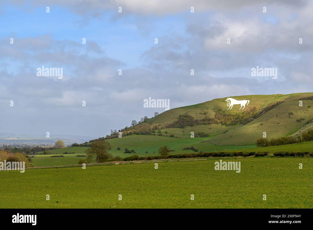 Bratton Camp White Horse Stock Photo - Alamy