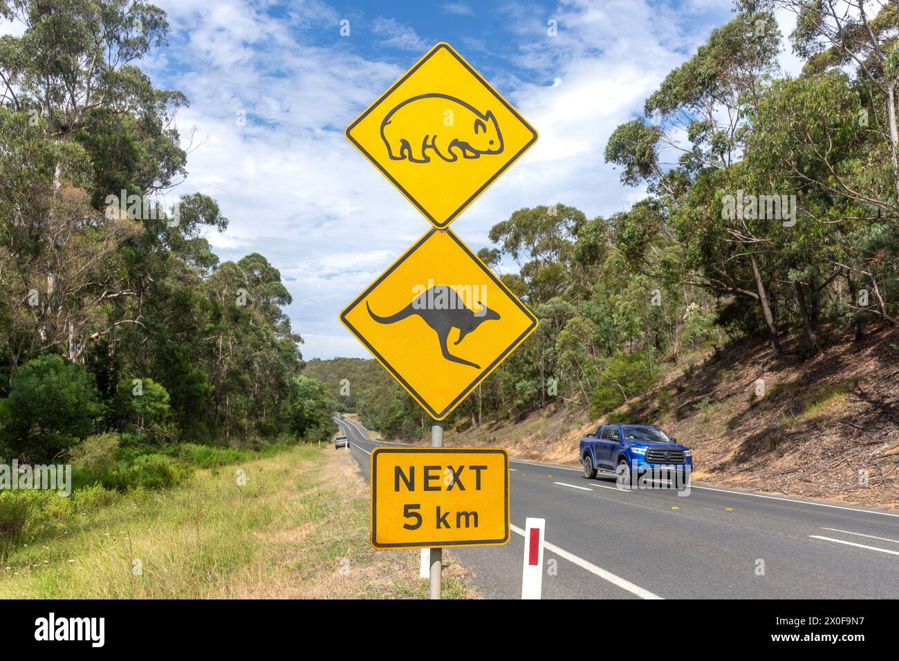 Watch for kangaroos and wombat signs, B72 Highway near Nimmitabel, New ...