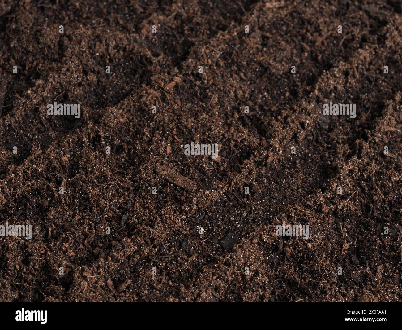 Close-up of the nutrient-rich soil as the basis for successful and ...