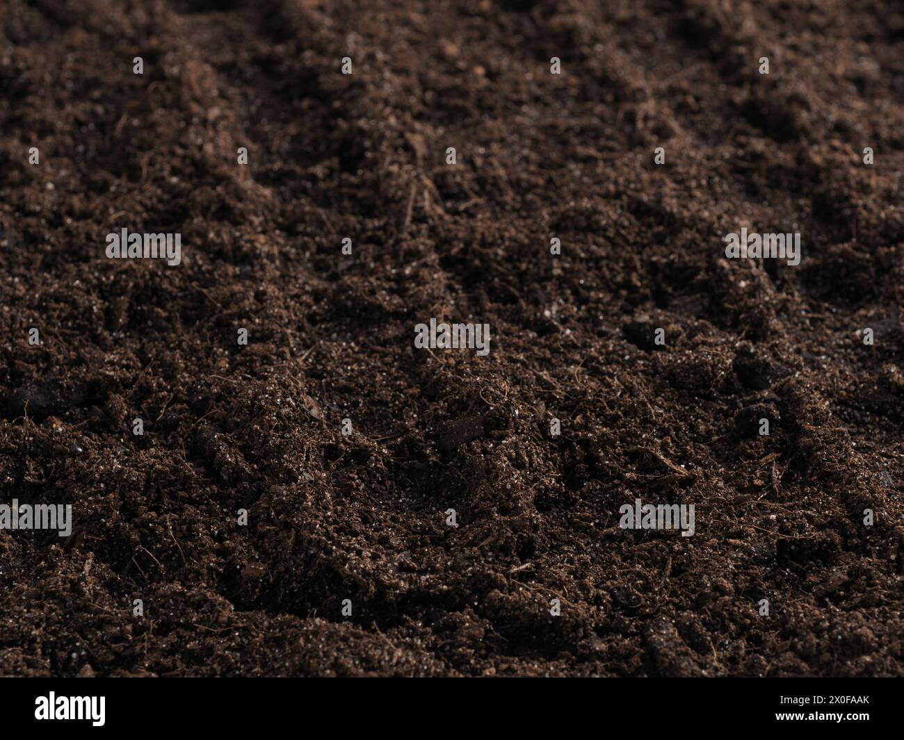 Close-up of the nutrient-rich soil as the basis for successful and ...