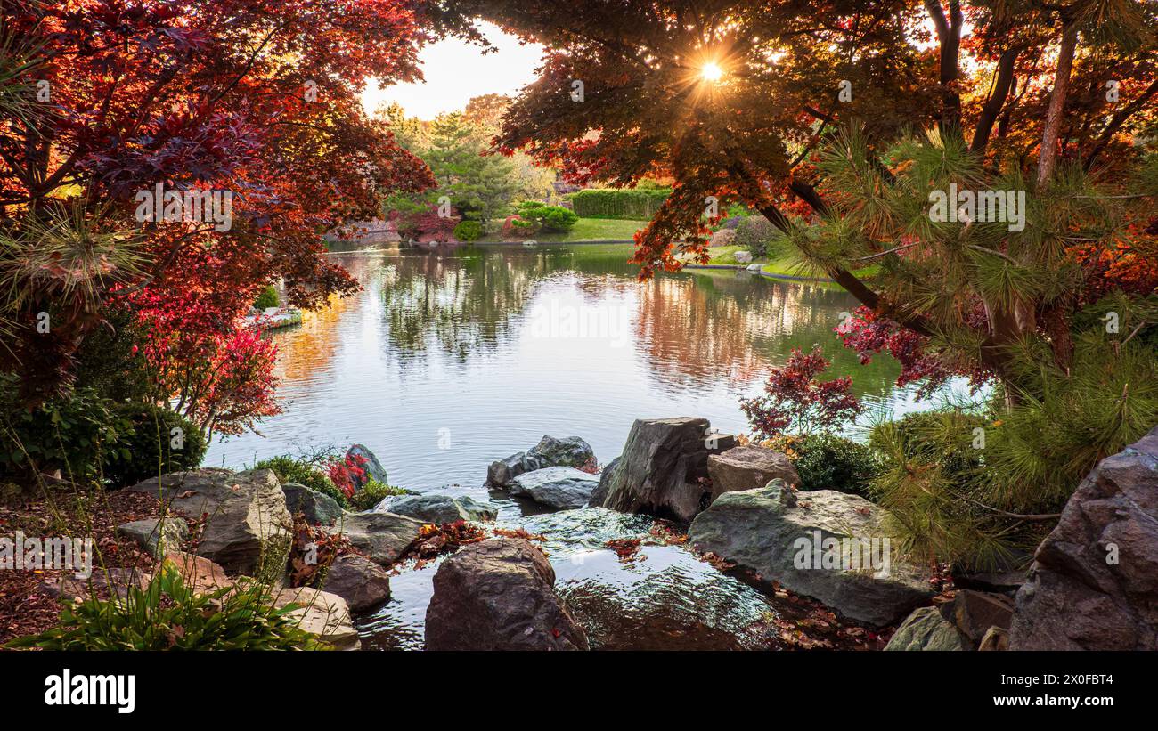 Beautiful view of landscaped park with lake; setting sun peeking ...