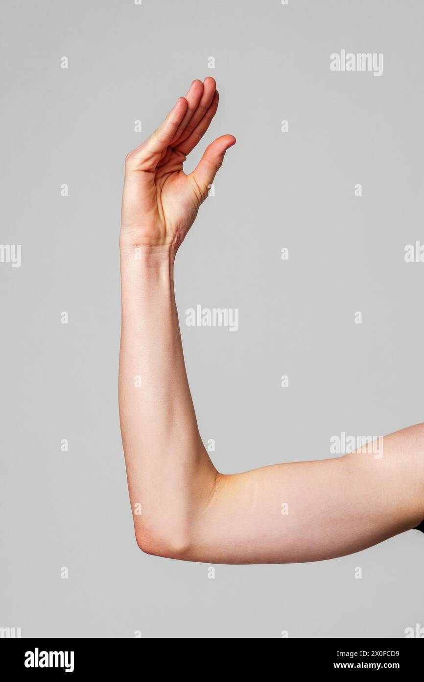 Flexion and extension arm hi-res stock photography and images - Alamy