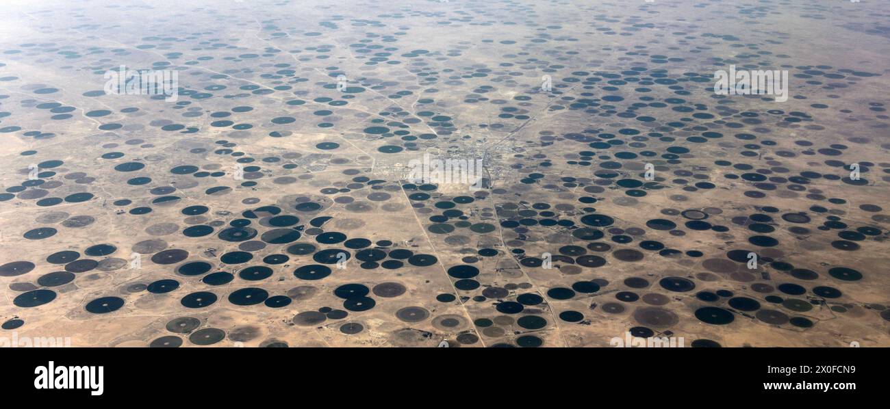 Aerial view of circular agriculture fields in the Arabian desert in ...