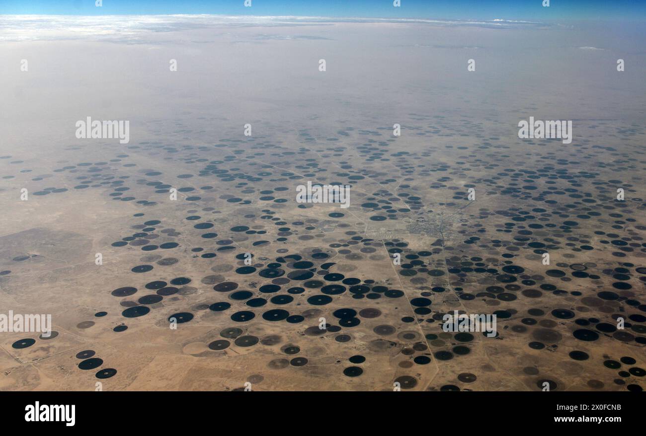 Aerial view of circular agriculture fields in the Arabian desert in ...