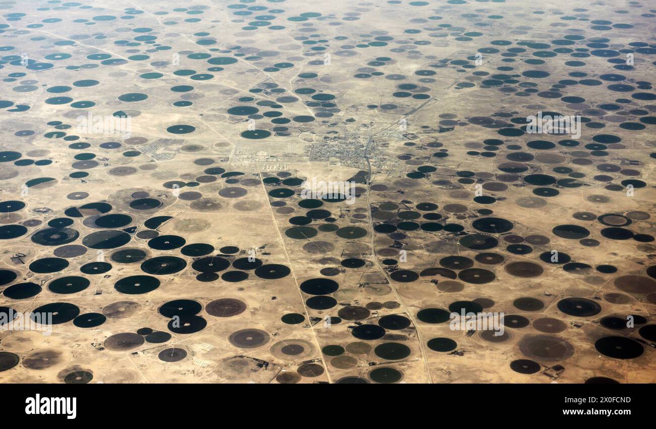 Aerial view of circular agriculture fields in the Arabian desert in ...