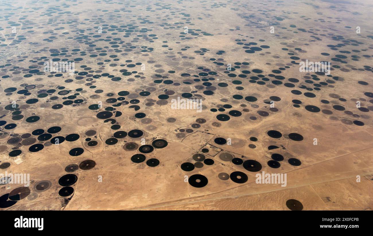 Aerial view of circular agriculture fields in the Arabian desert in ...