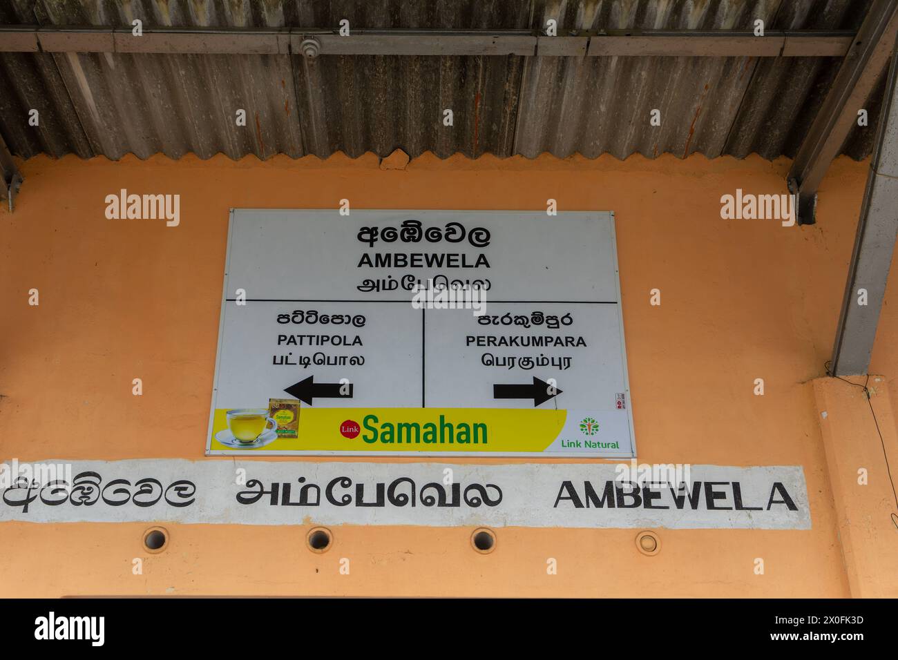 Ambewela, Sri Lanka - January 28, 2024: A detailed view of the ...