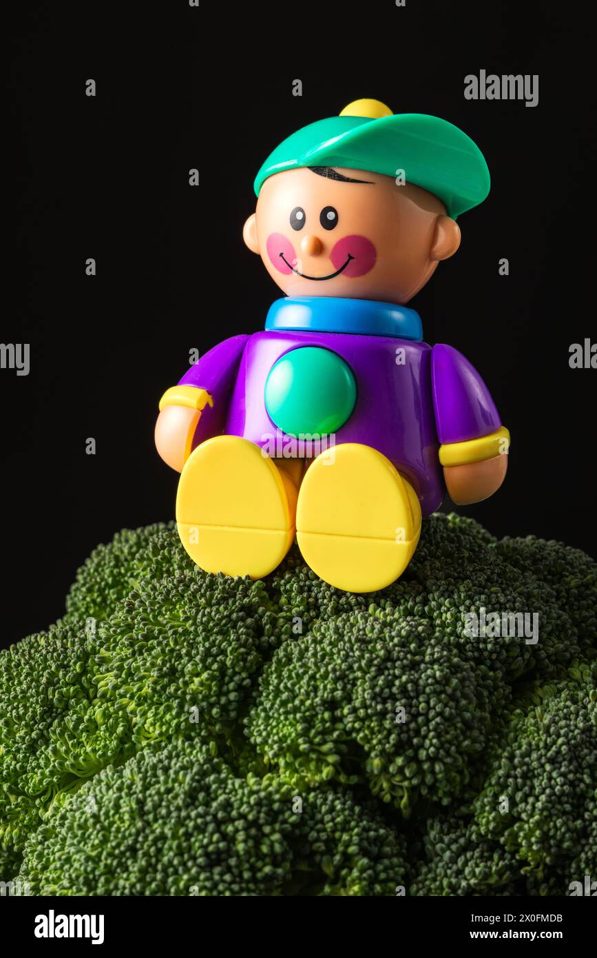 Fresh broccoli florets and plastic toy boy on black rustic background ...