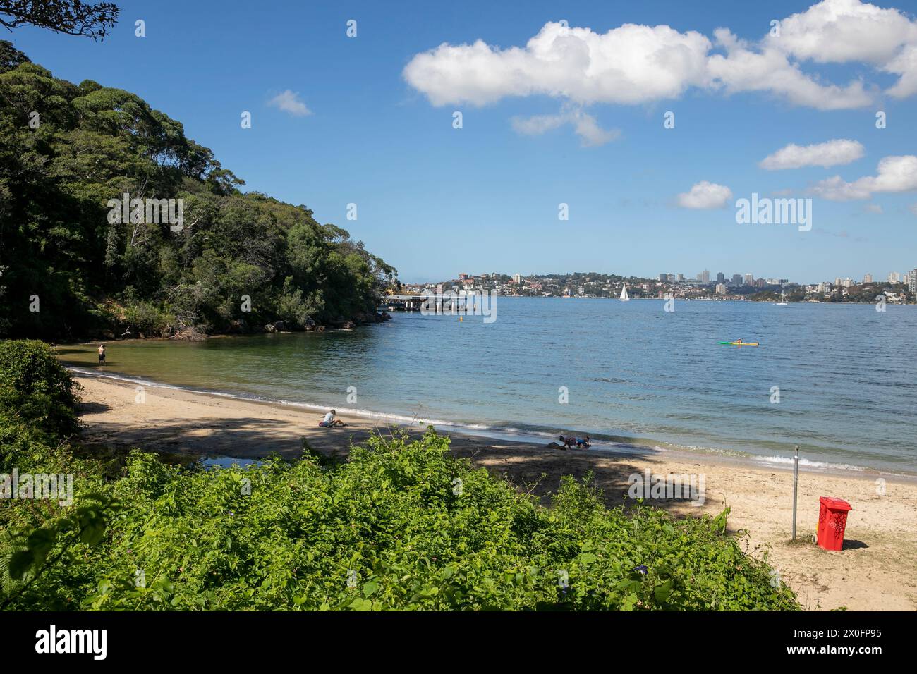 Whiting Bay beach on north shore of Sydney harbour in Mosman, offers ...