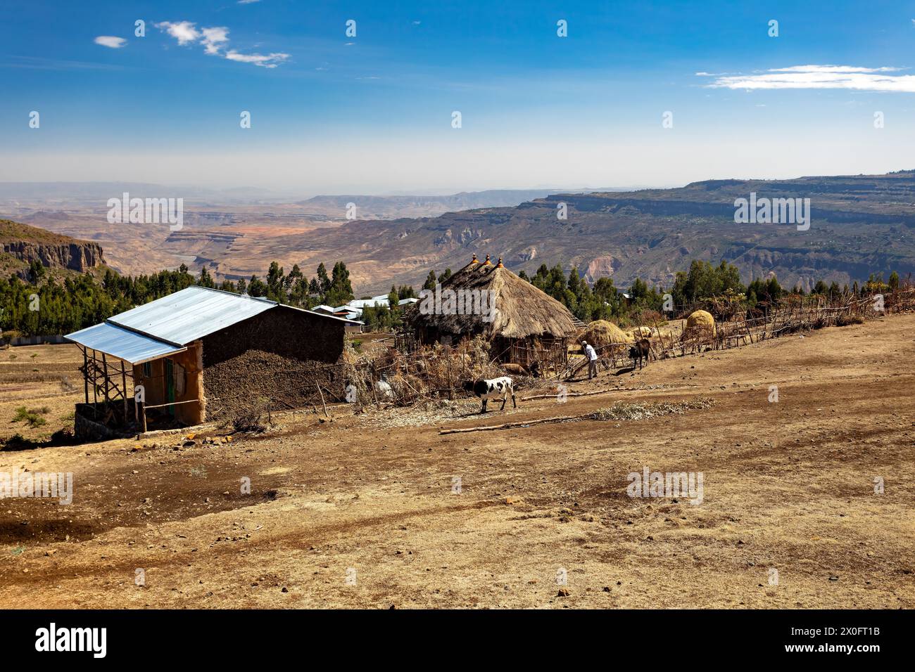 Ethiopian farmer in the highland countryside is repair a cattle fence ...