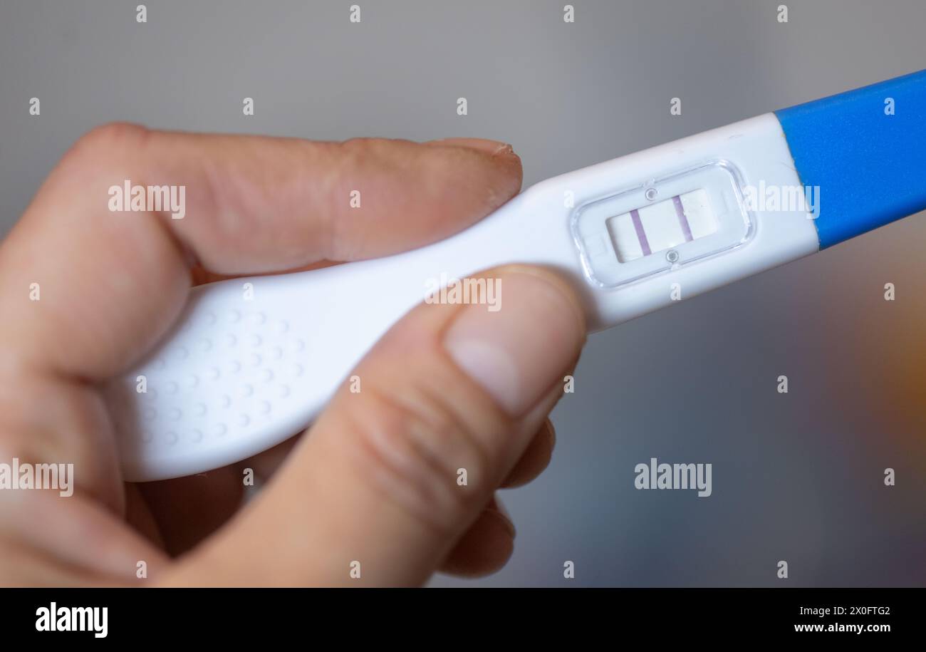 Leipzig, Germany. 10th Apr, 2024. A pregnancy test indicates pregnancy ...