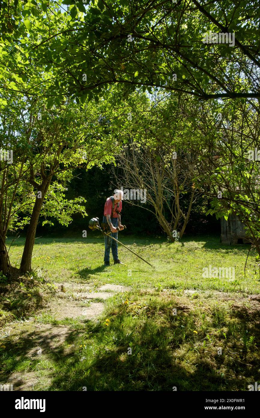 older man using brush cutter to cut down grass in his rural garden zala ...