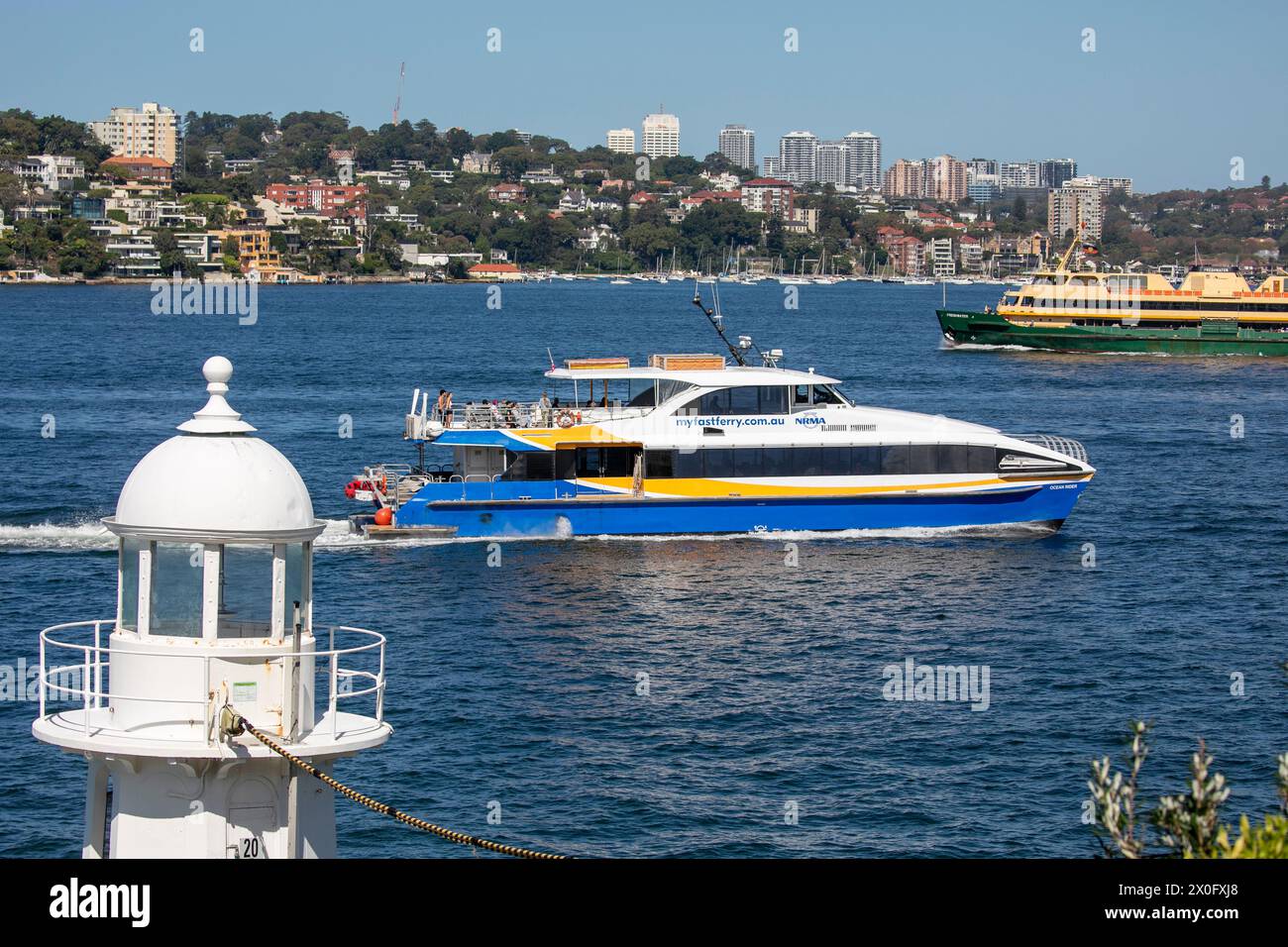 Manly Ferry the green and gold MV Freshwater and the Manly fast ferry ... Manly Ferry the green and gold MV Freshwater and the Manly fast ferry ...