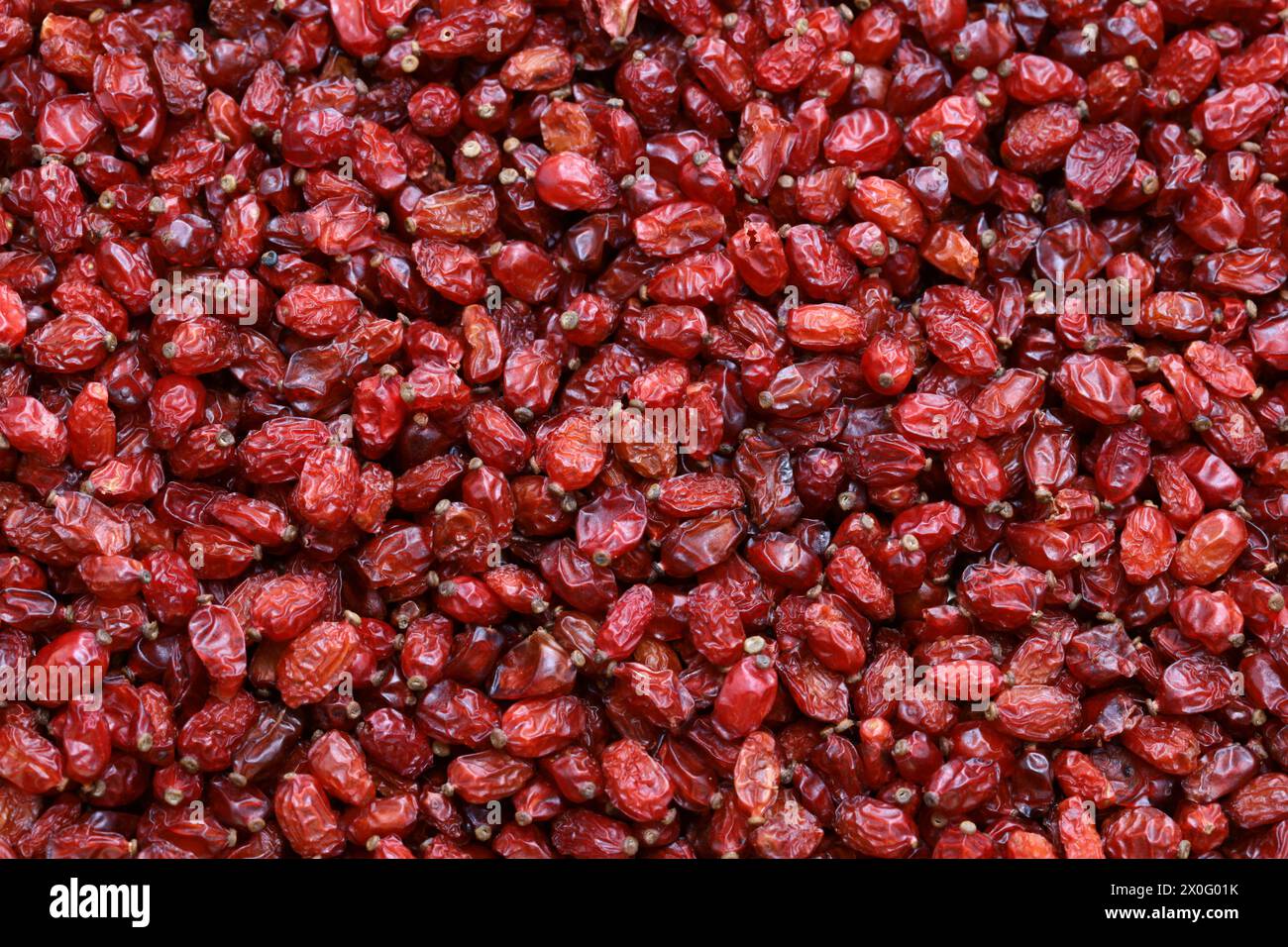 Barberries hi-res stock photography and images - Alamy