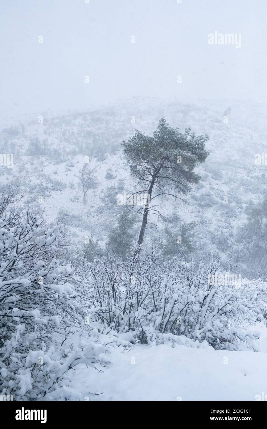 Snowy landscape seen from the train from Athens to Kalambaka crossing ...