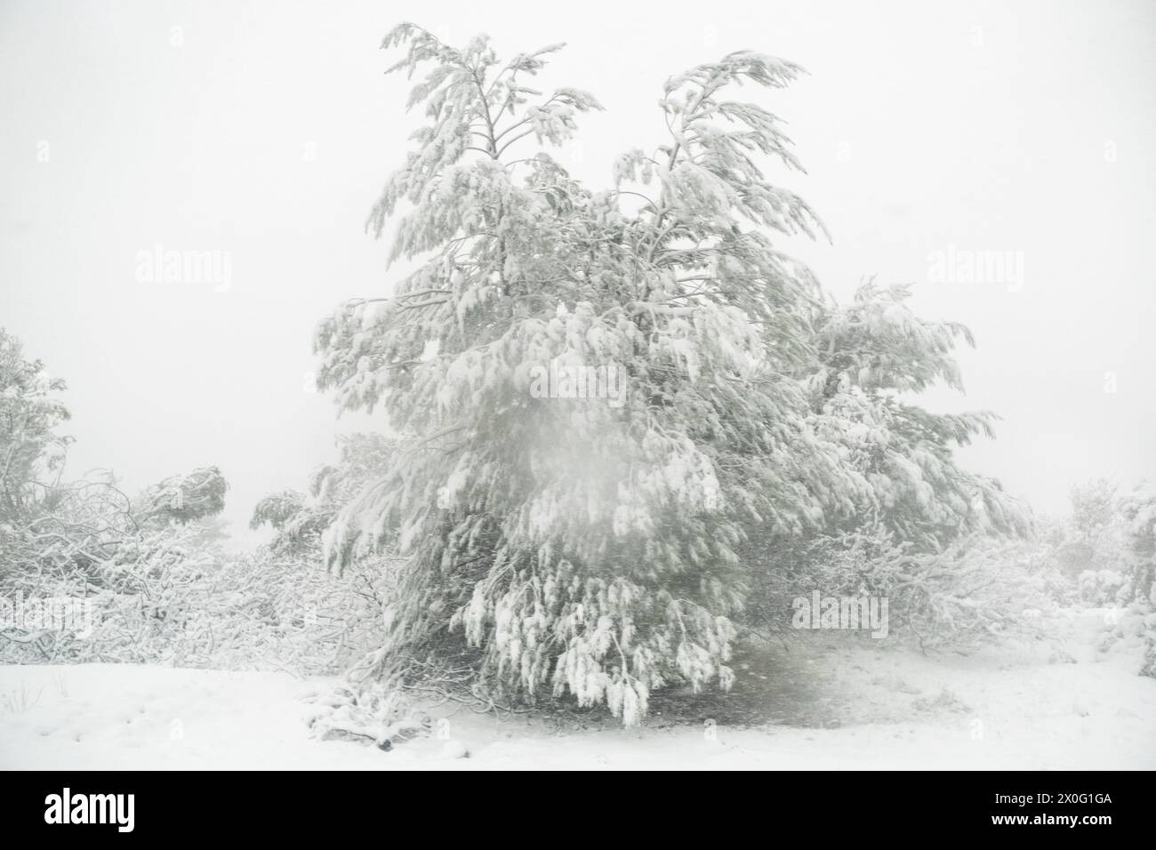 Snowy landscape seen from the train from Athens to Kalambaka crossing ...