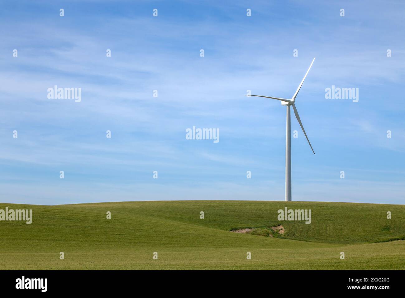 Wind turbine in meadow hi-res stock photography and images - Alamy