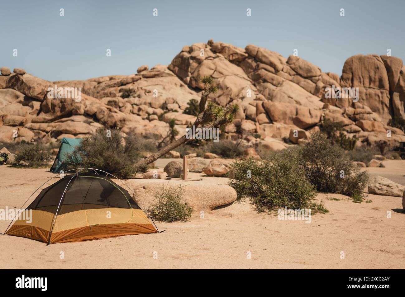 Camping tent at Joshua Tree National Park campground in desert Stock ...