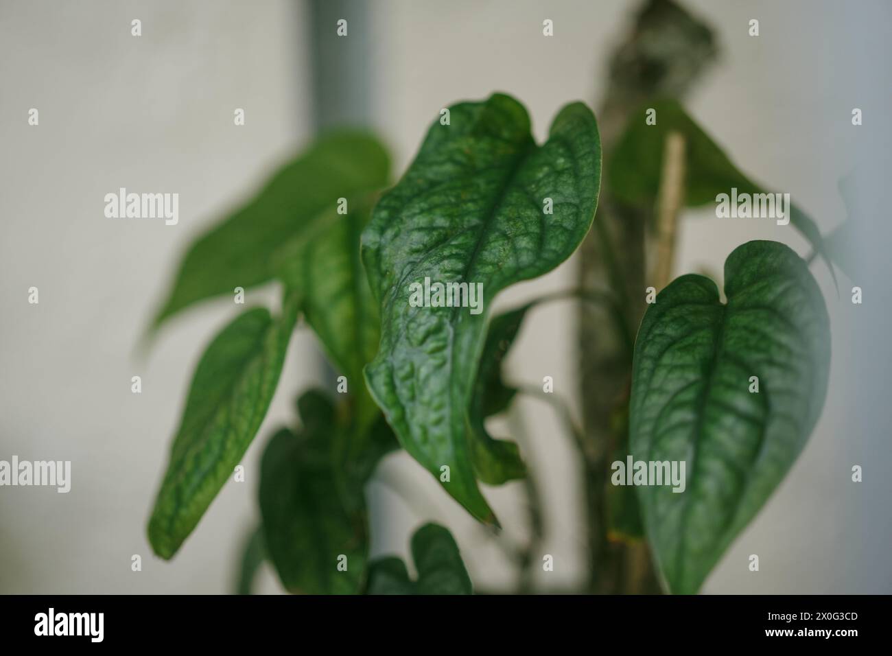 Message center frame hi-res stock photography and images - Alamy