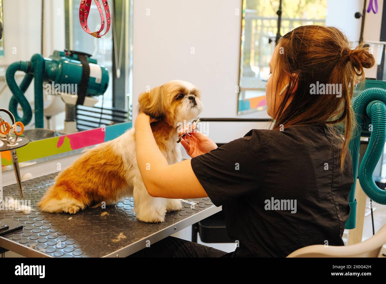 Professional updates hi-res stock photography and images - Alamy