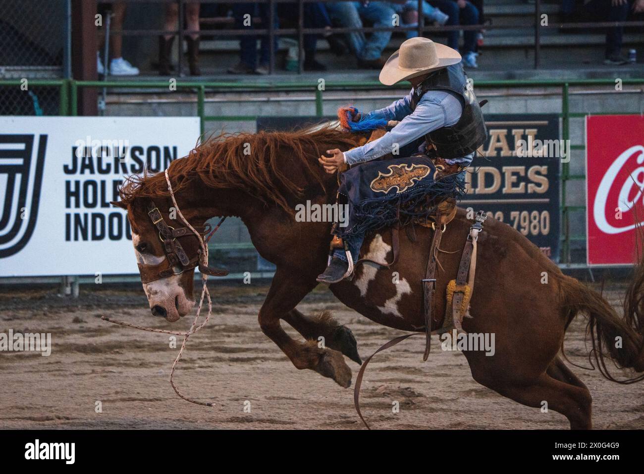Cowboy riding bucking bronc bronco hi-res stock photography and images ...