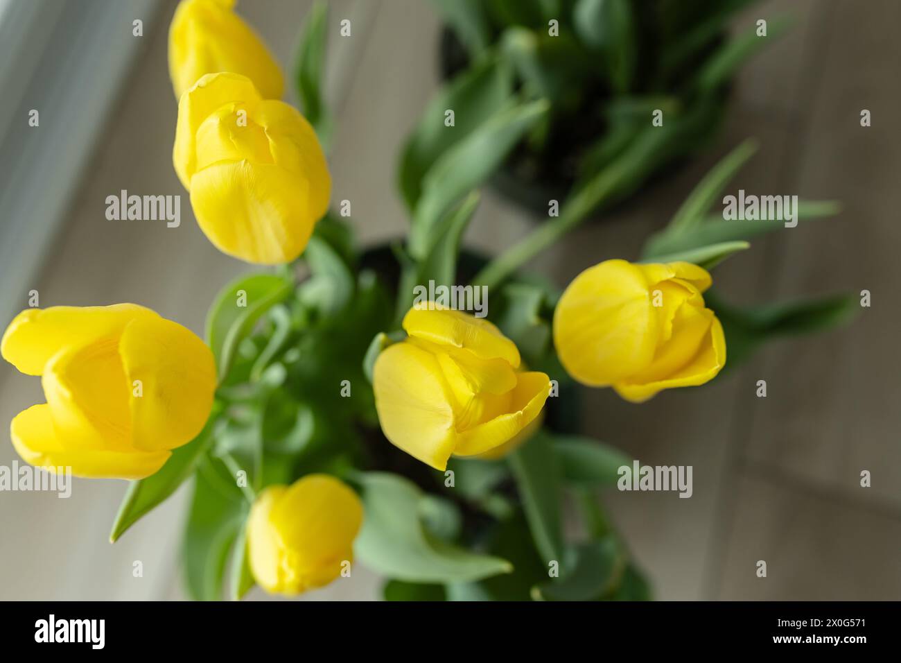 Overhead image hi-res stock photography and images - Alamy