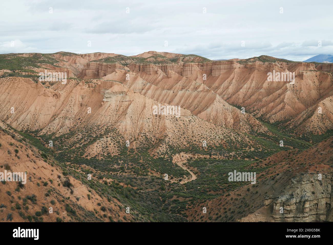 Desert landscape of reddish sandstone and deep gullies Stock Photo - Alamy