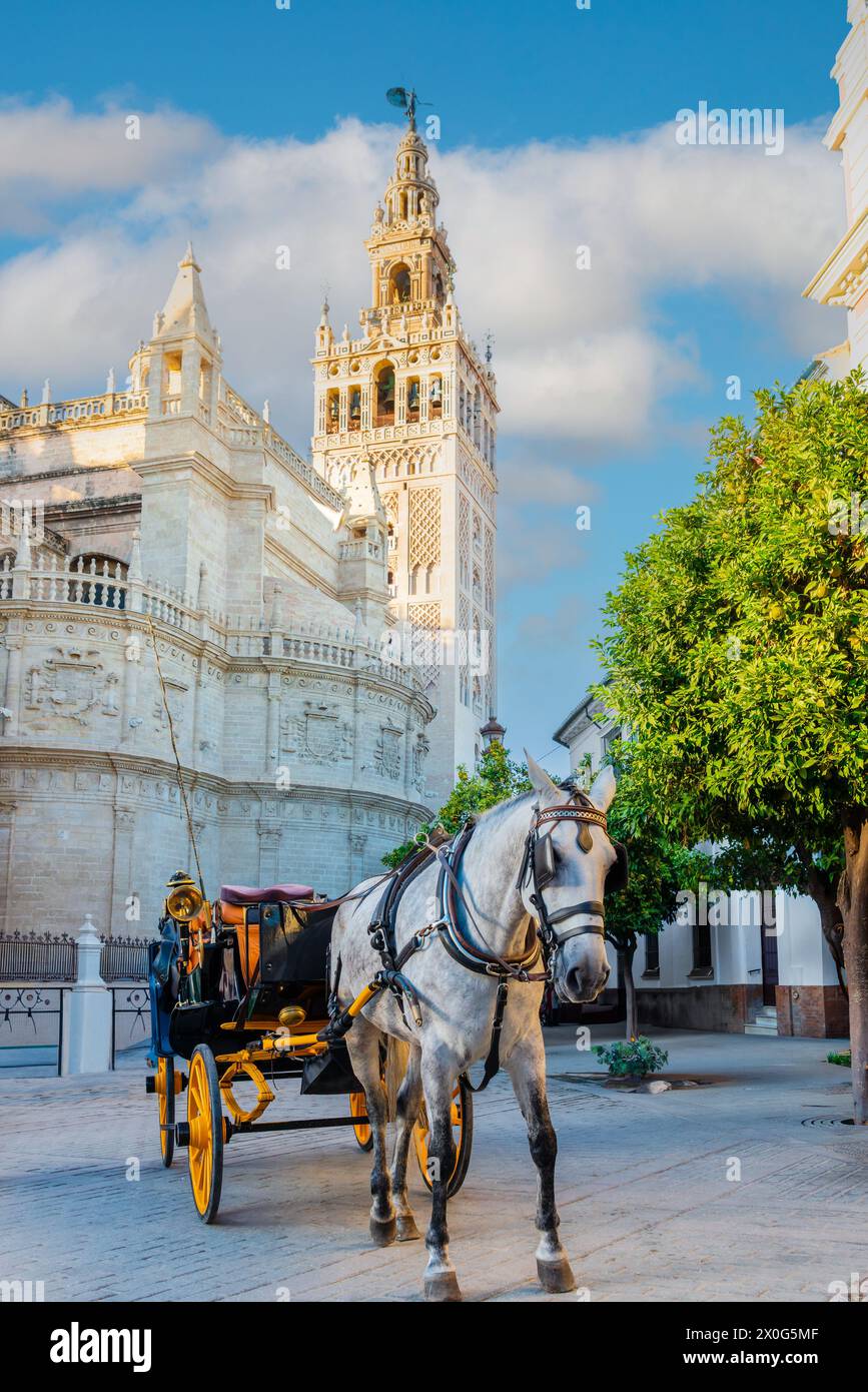 Horse and Carriage in front of the Giralda Tower. Seville, andal Stock ...