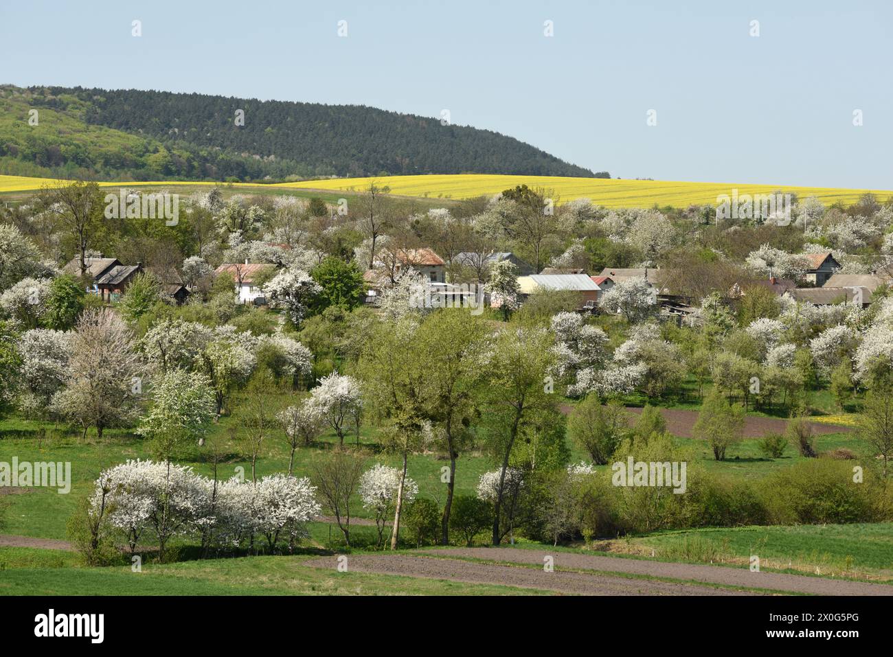 Spring rural landscape. Spring in the Ukrainian village Stock Photo - Alamy