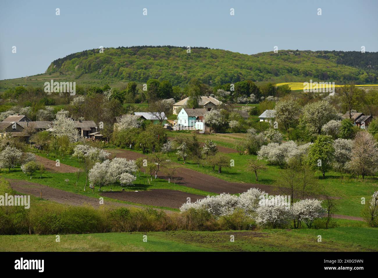 Spring rural landscape. Spring in the Ukrainian village Stock Photo - Alamy