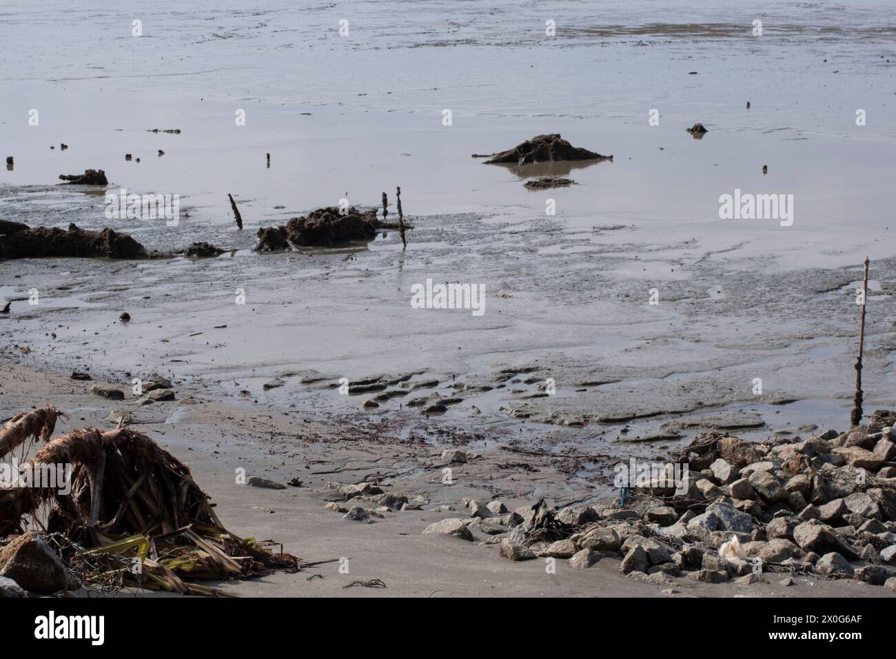 infrared image of the swampy mud beach environment at the low-tide ...