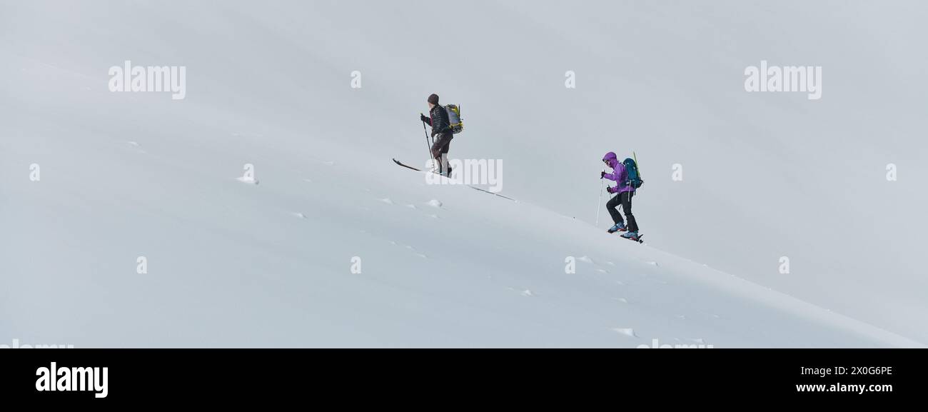 Alpine Ascent: Two Professional Skiers Conquer Snowy Peaks as a ...