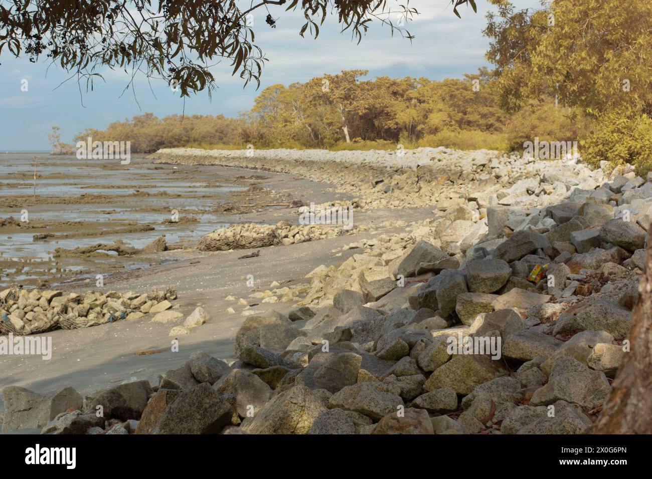 infrared image of the swampy mud beach environment at the low-tide ...